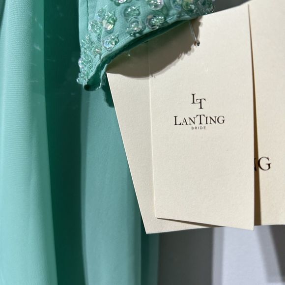 Lan Ting Bride | Dresses | Lan Ting Mother Of The Bride Dress Chiffon ...